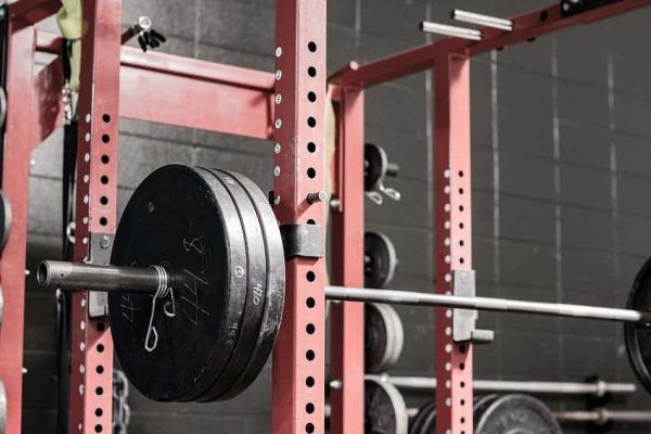 Unleash the Beast: A Lower Body Power and Strength Workout for Sprint ...