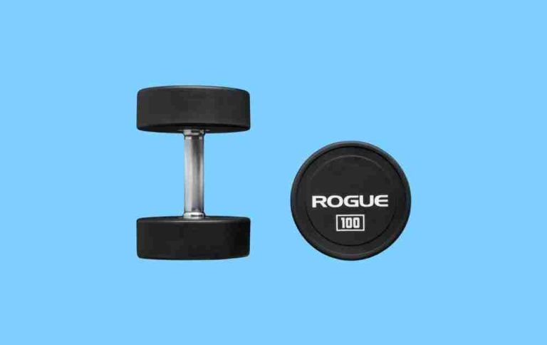 6 Best Dumbbell Sets for Every Kind of Home Workout - YourWorkoutBook