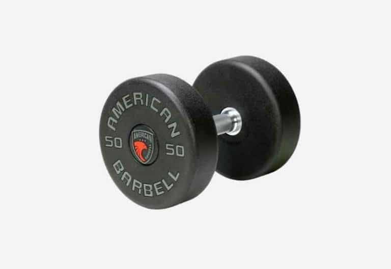 6 Best Urethane Dumbbells (Plus Ultimate Buyer’s Guide)