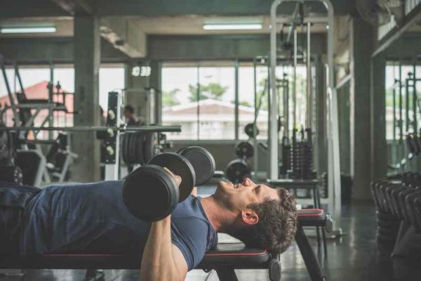 7 Best Weight Bench Exercises (Plus Benefits of Training with a Bench)