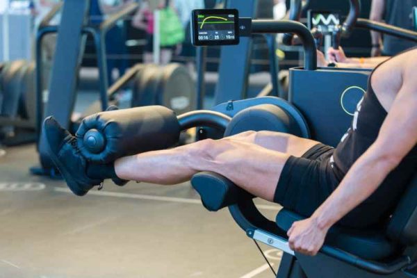 The Best Leg Extension Machines for Home Gyms - YourWorkoutBook