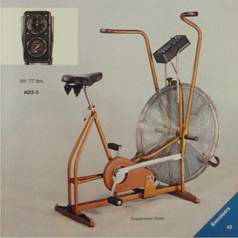 7 Reasons to Love the Schwinn Airdyne AD7 [Review] - YourWorkoutBook
