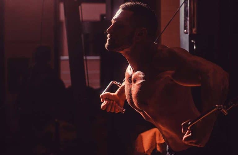 6 Best Chest Machines at the Gym (Plus Benefits, Muscles Worked and ...