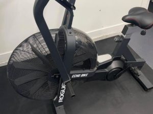 6 Rogue Echo Bike Workouts for Beginners to Elite Athletes