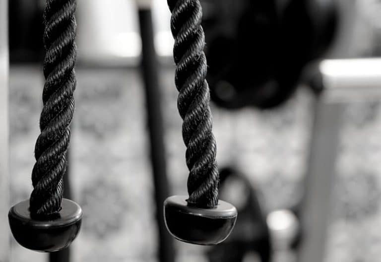 6 Best Tricep Ropes for Stronger Arms - YourWorkoutBook