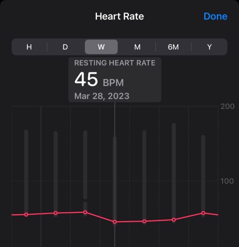 Rogue Echo Bike Review – I Put the Pedal to the Metal for 100 Days Straight
