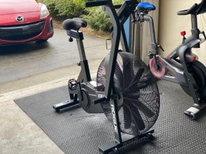 Rogue Echo Bike Review – I Put the Pedal to the Metal for 100 Days Straight