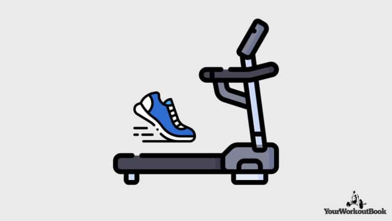 5 Best Cushioned Treadmills (for Comfort and Performance)