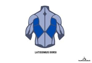 9 Benefits of Pull-Ups (Defy Gravity and Build Strength and Muscle ...